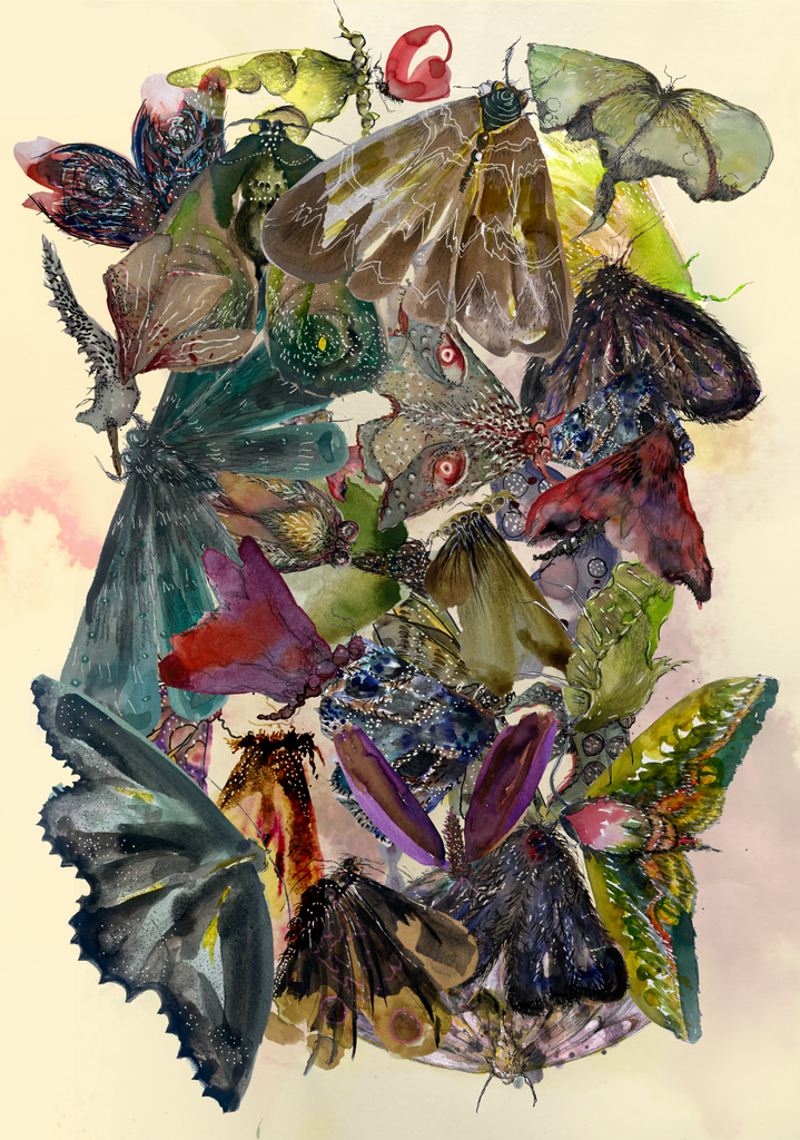 Mothra by Kirsten Smith (A2) - The Bigger Picture – Green Party of ...